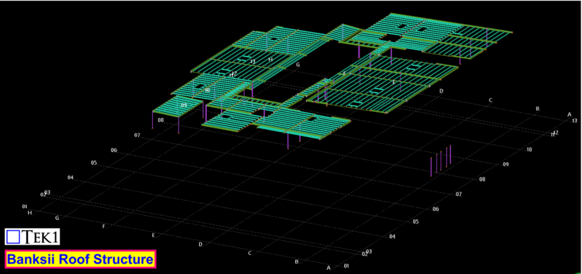 BANKSII – ROOF STRUCTURE – Tek1